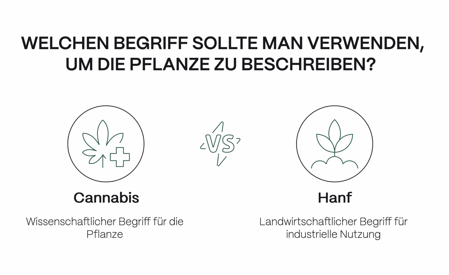 Hanf vs. Cannabis – was ist der Unterschied?