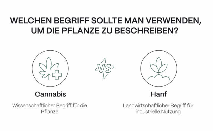 Hanf vs. Cannabis – was ist der Unterschied?